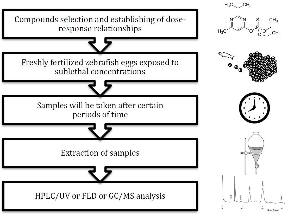 Toxikokinetik im Fischei - DBU