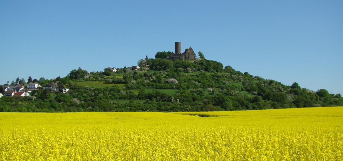 Wettenberg in Hessen Königin der Klimaschutzkommunen 2009 - DBU