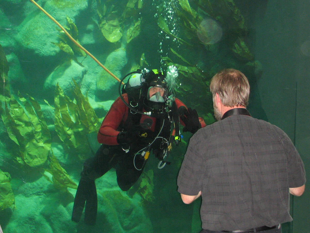 Energetisch sinnvoll angebaut: Multimar Wattforum mit neuer Ausstellung ...