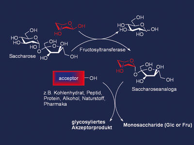 «Süße» Pharmaka - DBU